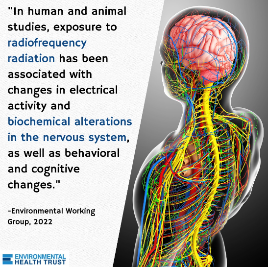 Effects of radiofrequency radiation on the nervous system – Le Vaud ...